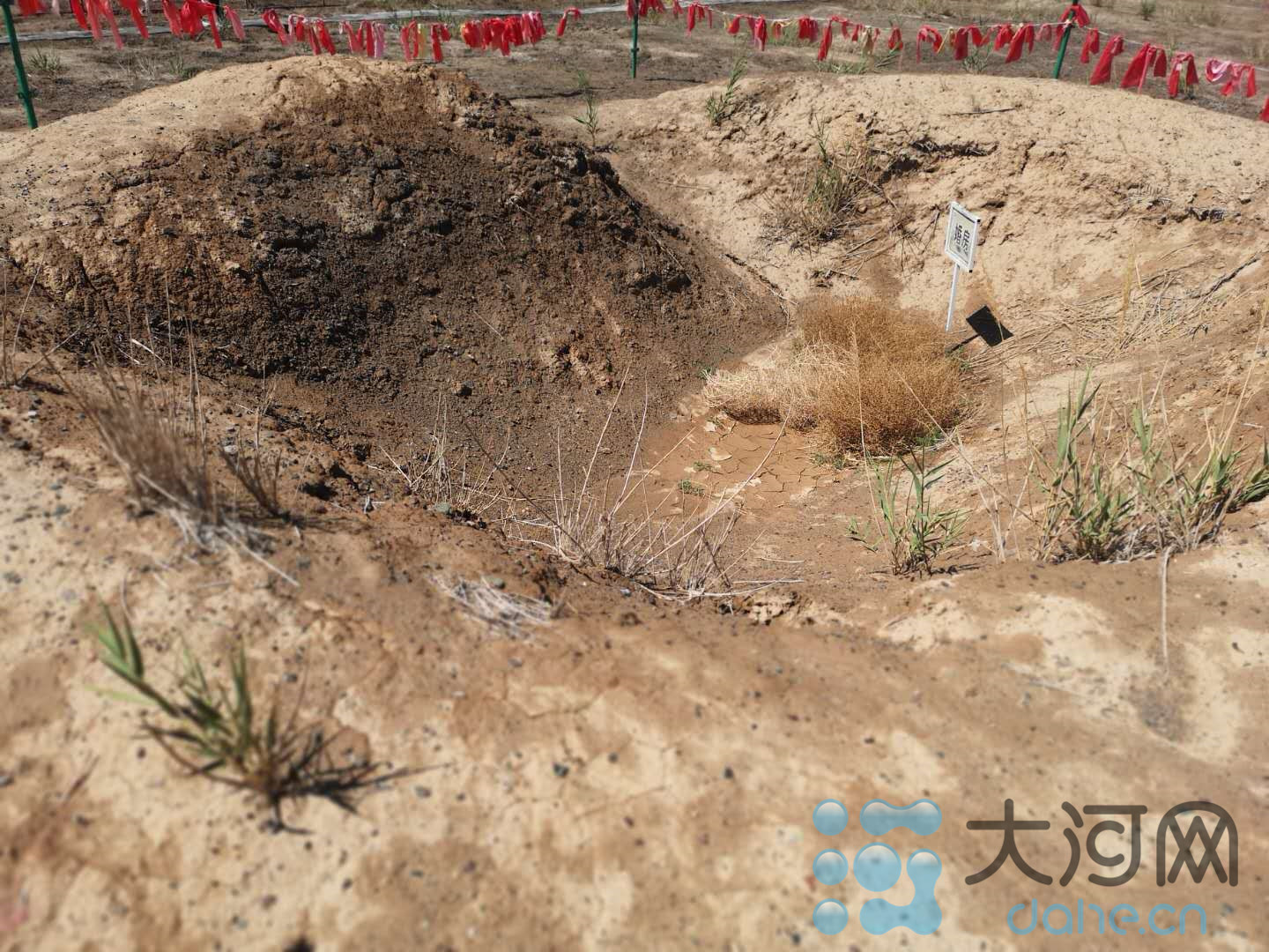 豫疆情”走进哈密】这样简陋的地下住所，你见过吗？新疆地下有个“房”冬暖又夏凉-大河网